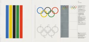 Guidelines and Standards for Visual Design - slanted