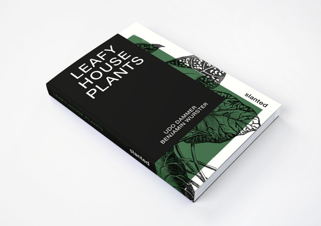 Leafy House Plants by Benjamin Wurster - slanted