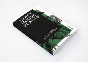 Leafy House Plants by Benjamin Wurster - slanted