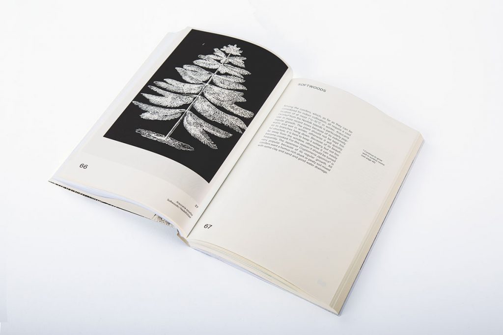 Leafy House Plants by Benjamin Wurster - slanted
