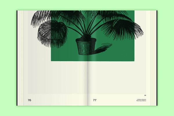 Leafy House Plants by Benjamin Wurster - slanted