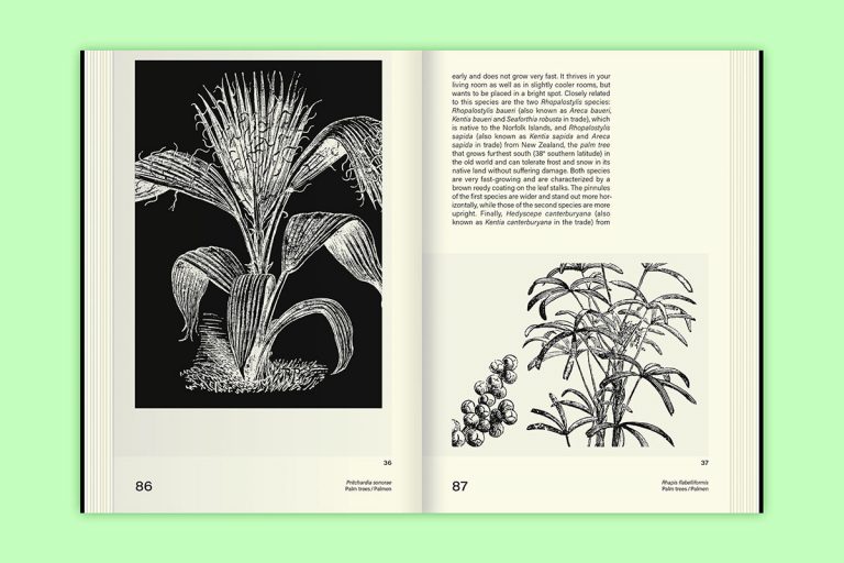 Leafy House Plants by Benjamin Wurster - slanted