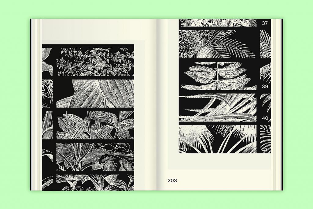 Leafy House Plants by Benjamin Wurster - slanted