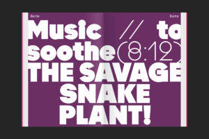 Yearbook of Type #7—Plant Edition - slanted