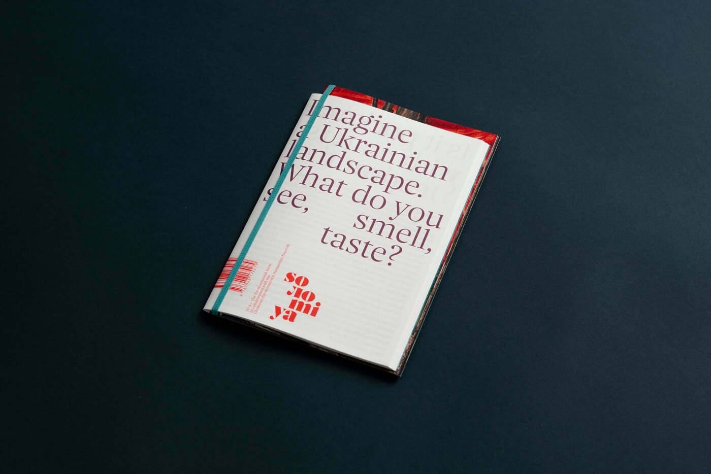 Solomiya No. 4 – The Environmental Issue - slanted