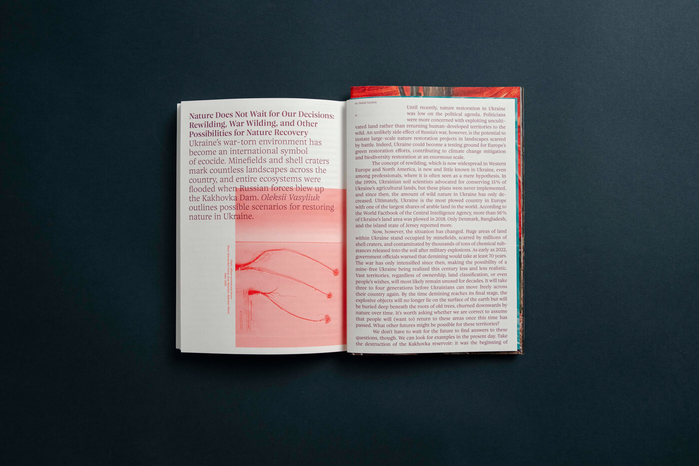 Solomiya No. 4 – The Environmental Issue - slanted